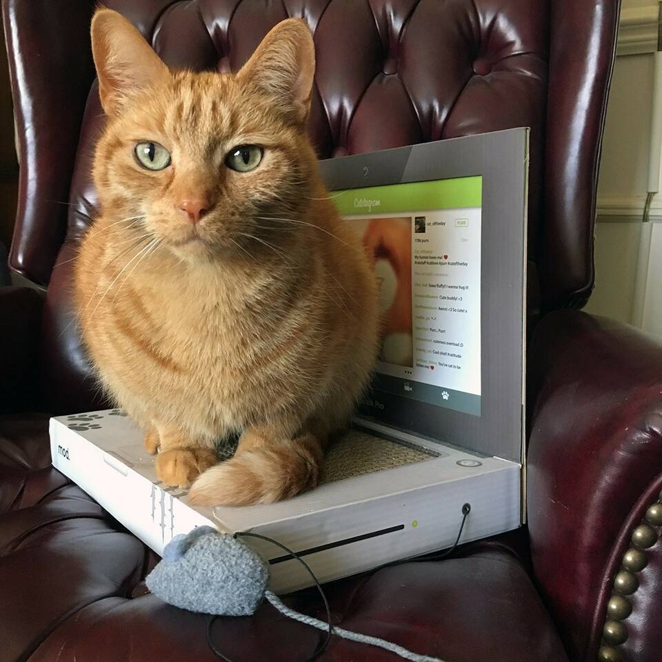 News | Meet Woodward* | Detroit Public Library